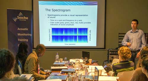 CSA and Seiche Combine Forces for Marine Mammal Monitoring Training 9th ...
