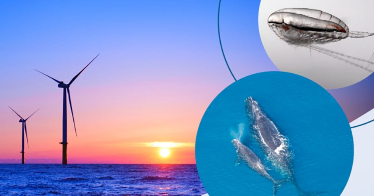 New Report Shows Climate Change and Natural Forces Impacts Ocean ...